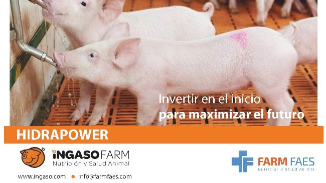 Ingaso Hidrapower - Comercial P. Serra